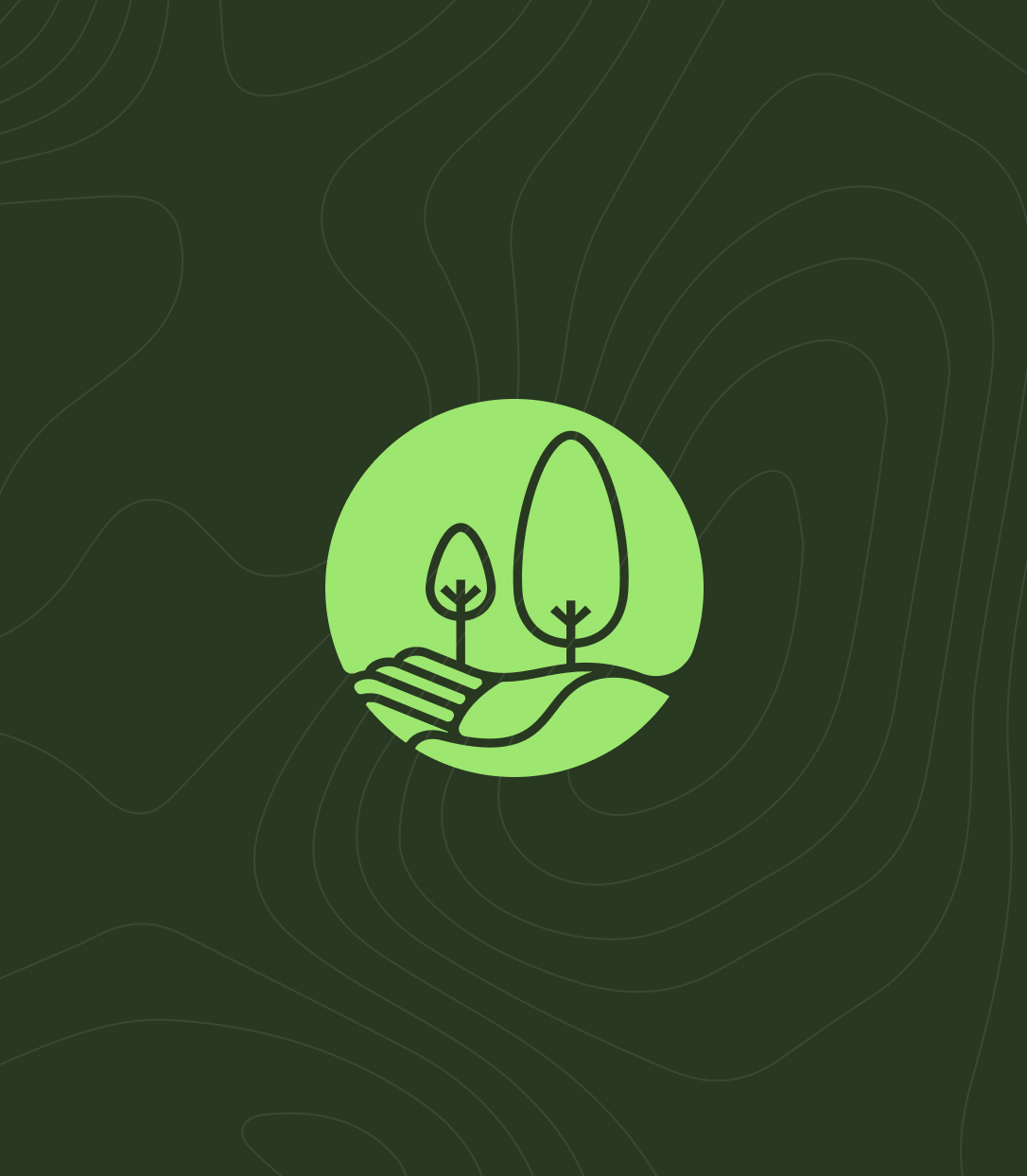 The Future Forest Company: Rebrand, UX and Web Design | Giant Peach