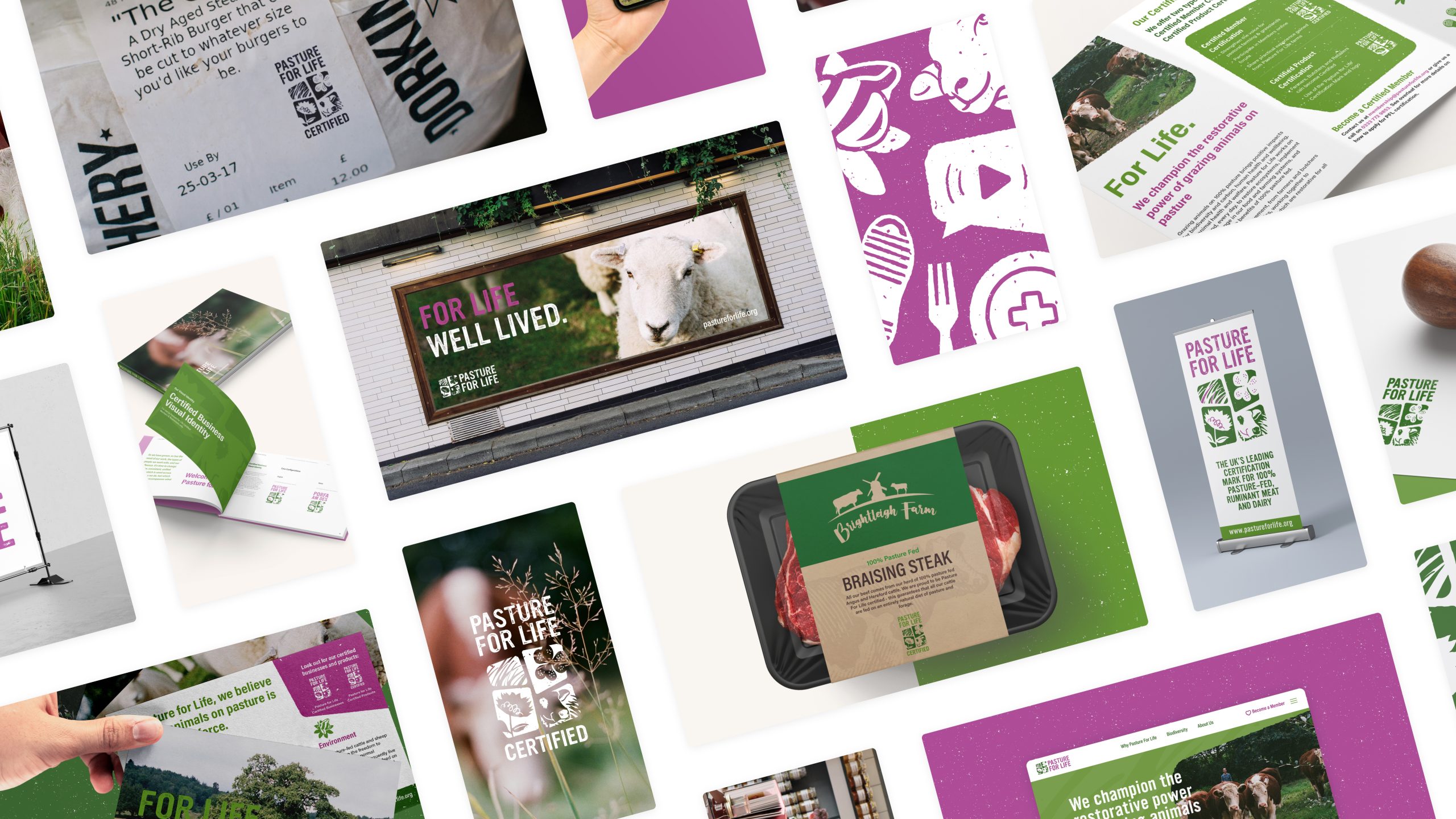 Your Visual Brand Identity | Giant Peach Agency